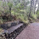 Mount Coot-tha Summit Trail, Queensland, Australia - 750 Reviews, Map ...