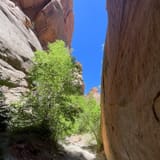 Spring Creek Canyon, Utah - 1,391 Reviews, Map | AllTrails