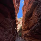 Spring Creek Canyon, Utah - 1,391 Reviews, Map | AllTrails