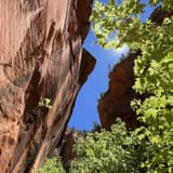 Spring Creek Canyon, Utah - 1,391 Reviews, Map | AllTrails