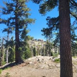 Mount Judah Loop Trail, California - 2,416 Reviews, Map | AllTrails