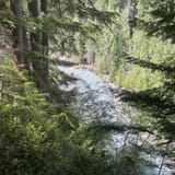 Skookum Falls via Skookum Flats Trail, Washington - 120 Reviews, Map ...