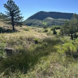 Hall Ranch Loop: Nighthawk to Bitterbrush, Colorado - 411 Reviews, Map ...