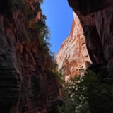Spring Creek Canyon, Utah - 1,402 Reviews, Map | AllTrails