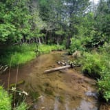 Jordan Valley Pathway, Michigan - 795 Reviews, Map | AllTrails