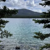 Lake Annette Loop, Alberta, Canada - 922 Reviews, Map | AllTrails