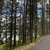 Lake Annette Loop, Alberta, Canada - 922 Reviews, Map | AllTrails