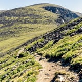 Mount Chapin, Chiquita, and Ypsilon Mountain via Chapin Pass Trail ...