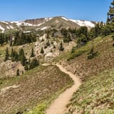 Mount Chapin, Chiquita, and Ypsilon Mountain via Chapin Pass Trail ...