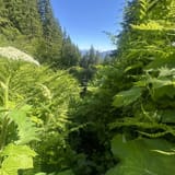 Monogram Lake Trail, Washington - 99 Reviews, Map | AllTrails