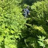 Monogram Lake Trail, Washington - 99 Reviews, Map | AllTrails