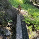 Monogram Lake Trail, Washington - 99 Reviews, Map | AllTrails