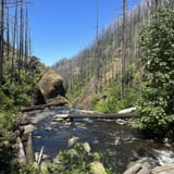 Oneonta Trail, Oregon - 724 Reviews, Map | AllTrails