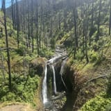 Oneonta Trail, Oregon - 724 Reviews, Map | AllTrails