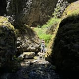 Boulder Cave Trail, Washington - 192 Reviews, Map | AllTrails