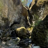 Boulder Cave Trail, Washington - 192 Reviews, Map | AllTrails