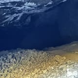 Boulder Cave Trail, Washington - 192 Reviews, Map | AllTrails