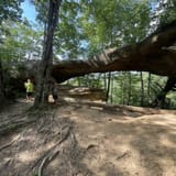 Princess Arch Trail, Kentucky - 1,407 Reviews, Map | AllTrails