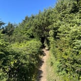 House Rock Viewpoint - Cape Ferrelo Trail, Oregon - 175 Reviews, Map ...