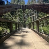 Middle Fork Snoqualmie River Trail, Washington - 1,105 Reviews, Map ...