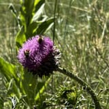 Eagle's View Trail Loop, Colorado - 3,254 Reviews, Map | AllTrails