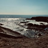 Salt Point Trail to Stump Beach, California - 755 Reviews, Map | AllTrails