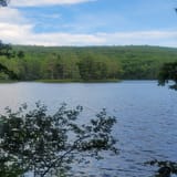 Goose Pond Loop, New Hampshire - 771 Reviews, Map | AllTrails