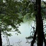 Nottely Reservoir Trail, Georgia - 1,091 Reviews, Map | AllTrails