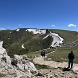 Alpine Ridge Trail, Colorado - 1,158 Reviews, Map | AllTrails