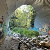 Bear Wallow Spring, Arizona - 391 Reviews, Map | AllTrails