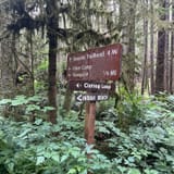 Clatsop Loop Trail from Indian Beach, Oregon - 2,810 Reviews, Map ...
