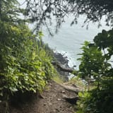 Clatsop Loop Trail from Indian Beach, Oregon - 2,849 Reviews, Map ...