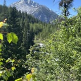 Hurricane Creek Trail, Oregon - 188 Reviews, Map | AllTrails