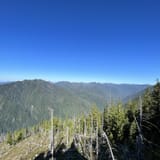 Mount Rose Trail, Washington - 1,393 Reviews, Map | AllTrails