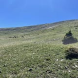 Mount Chapin, Chiquita, and Ypsilon Mountain via Chapin Pass Trail ...