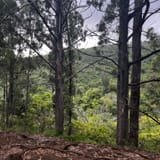 Makiki Valley Loop, Oahu, Hawaii - 5,999 Reviews, Map | AllTrails