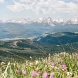 Cinnamon Mountain Trail, Montana - 231 Reviews, Map | AllTrails