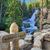Alberta Falls Trail, Colorado - 3,592 Reviews, Map | AllTrails
