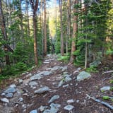 Alberta Falls Trail, Colorado - 3,592 Reviews, Map | AllTrails
