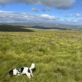 Tebay Fell Circular, Cumbria, England - 5 Reviews, Map | AllTrails