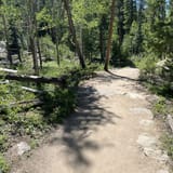 Adams Falls Trail, Colorado - 3,210 Reviews, Map | AllTrails