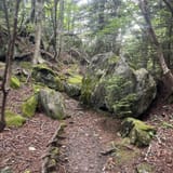 Sam's Knob and Little Sam Loop, North Carolina - 506 Reviews, Map ...