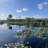 Anhinga Trail, Florida - 1,873 Reviews, Map | AllTrails