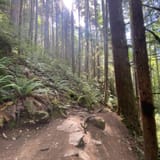 Heybrook Lookout Trail, Washington - 5,261 Reviews, Map | AllTrails