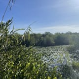 Anhinga Trail, Florida - 1,873 Reviews, Map | AllTrails