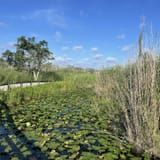 Anhinga Trail, Florida - 1,873 Reviews, Map | AllTrails