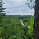 The Manistee River Loop Trail, Michigan - 1,986 Reviews, Map | AllTrails