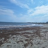 Black Point Trail, Rhode Island - 849 Reviews, Map | AllTrails