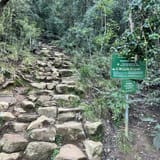 Newlands Forest via the Contour Path, Western Cape, South Africa - 703 ...