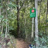 Newlands Forest via the Contour Path, Western Cape, South Africa - 703 ...